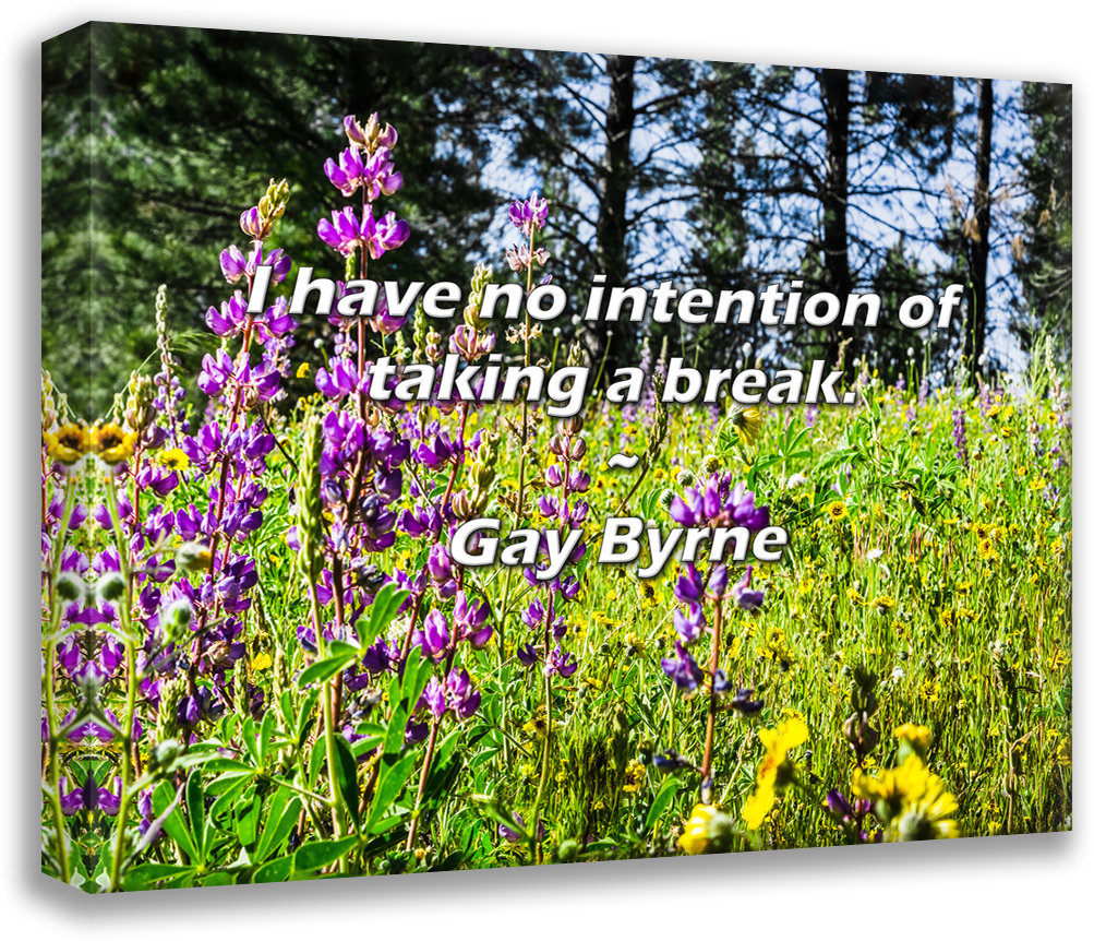 Ophelia & Co. Artsy Quote "I have no intention of taking a break." By Gay Byrne Gallery Wrapped ...